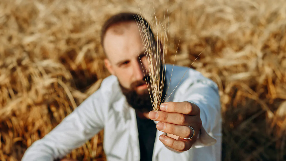 The Meaning of the Harvest - Jews for Jesus